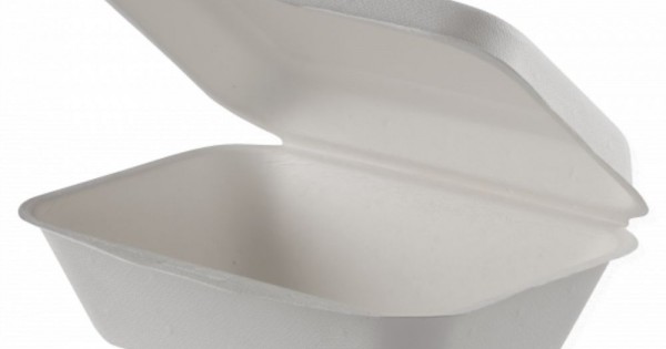 Caserola Biodegradabila, 23x15 cm, 50 Buc/Set - Caserole Ecologice ...