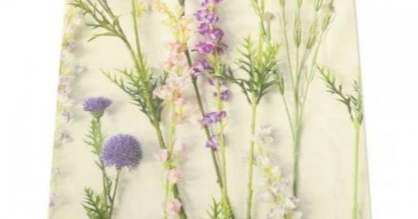 Set 12 Caiete A4 Dictando ECADA, 48 File, 60 g/m², Coperta Policroma ...