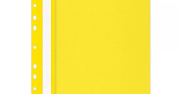 Dosare din Plastic cu Sina si Multiperforatii, 25 Buc/Set, 225x305 mm ...