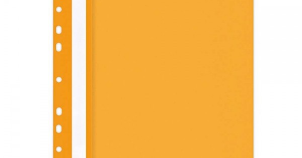 Dosare din Plastic cu Sina si Multiperforatii, 25 Buc/Set, 225x305 mm ...