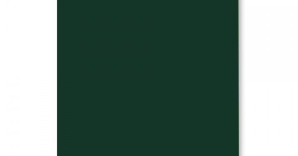 Hartie Cartonata A4 DACO, Verde Padure, 250 Coli/Top, 160 g/m², 210x297 ...