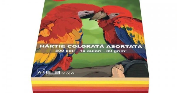 Hartie Colorata Asortata DACO A4, 80 g/m², 500 Coli/Top, 10 Culori, Top ...